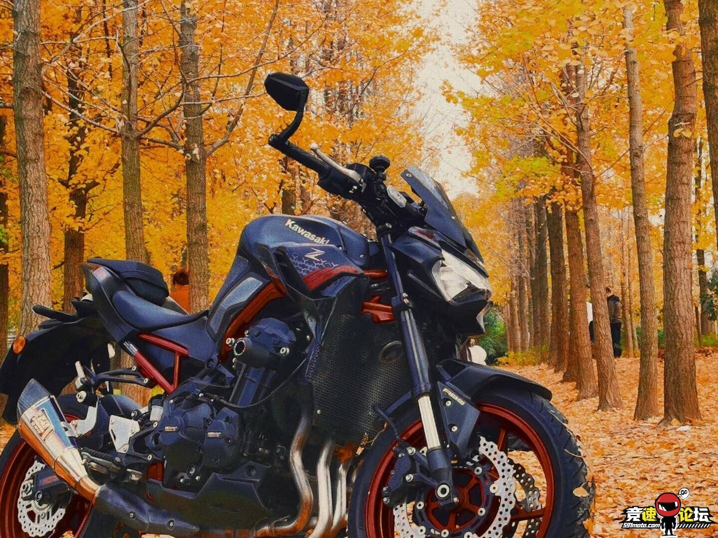 川崎Z900（21款）-竞速车友会 - 591moto