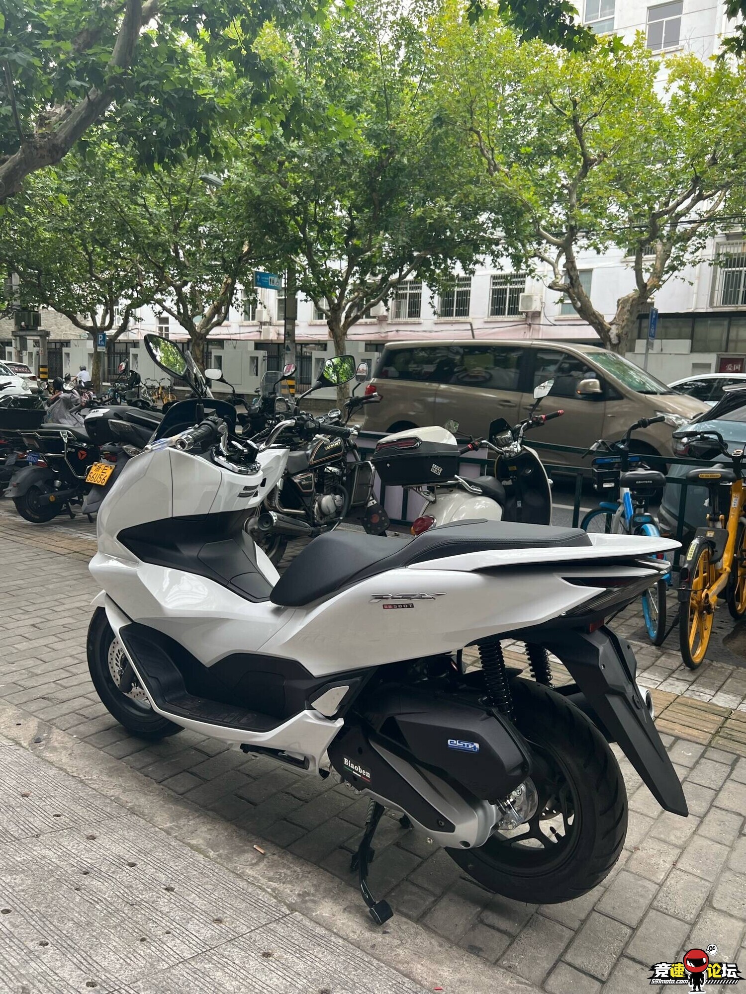 全新 蓝A本田PCX 擦刮辣咯车子 车子漂亮的很-竞速车友会 - 591moto