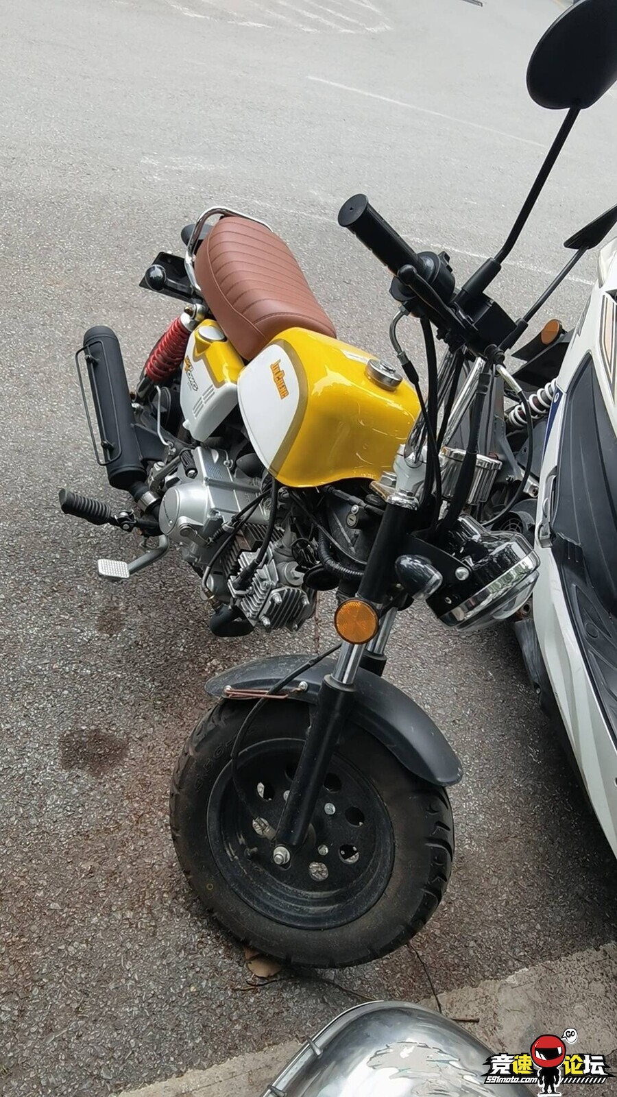 上海滩最高价回收黄A黄C蓝A崇明R，黄A黄C蓝A崇明R活单批发价出售，黄A带车出-竞速车友会 - 591moto