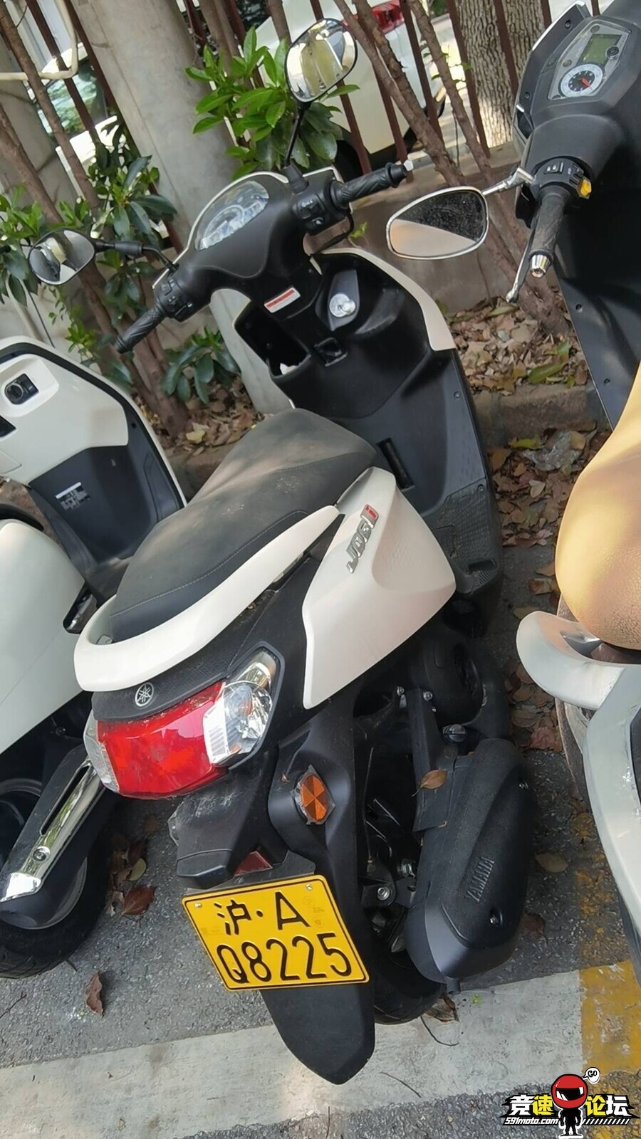 上海滩最高价回收黄A黄C蓝A崇明R，黄A黄C蓝A崇明R活单批发价出售，黄A带车出-竞速车友会 - 591moto