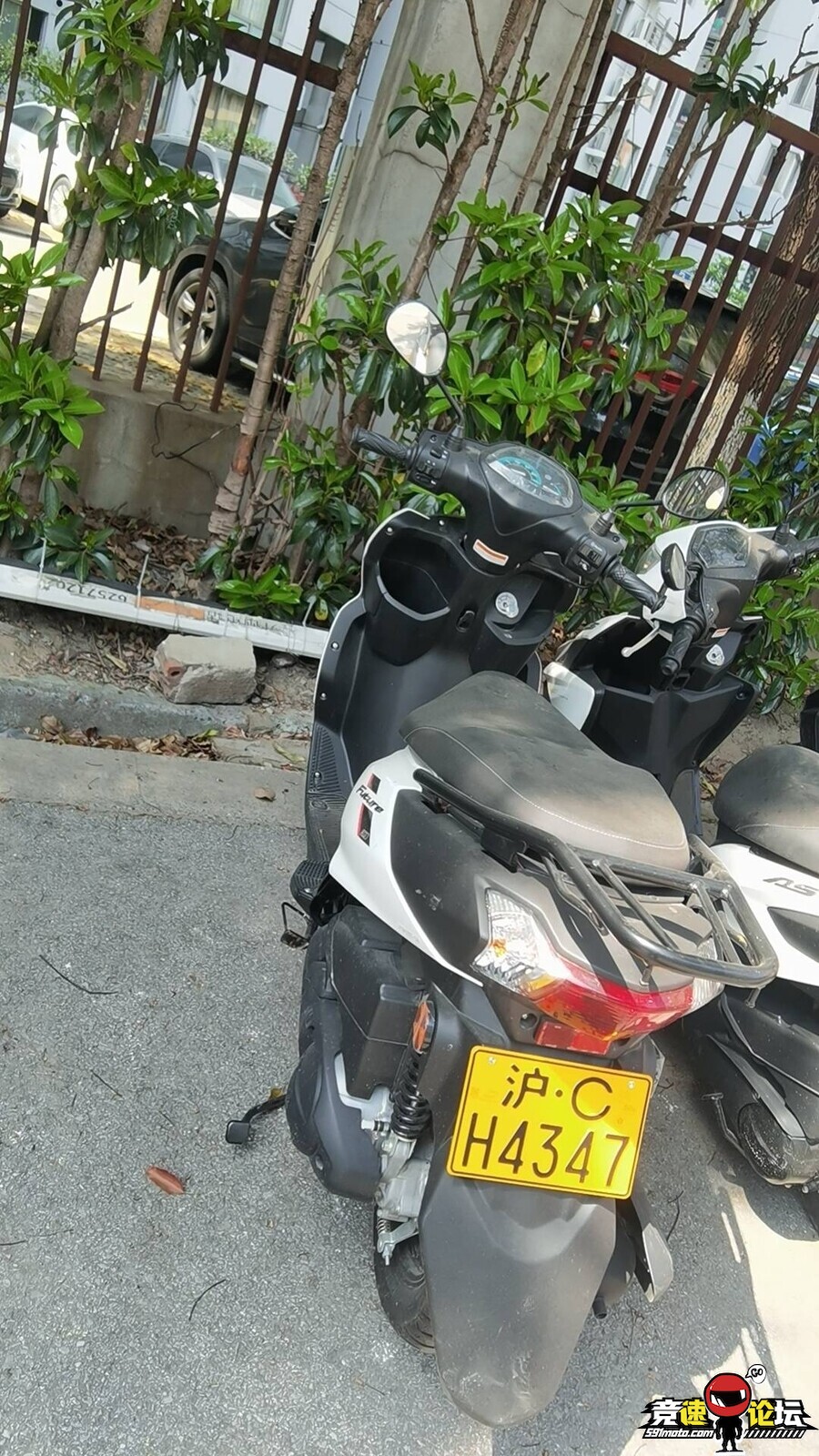 上海滩最高价回收黄A黄C蓝A崇明R，黄A黄C蓝A崇明R活单批发价出售，黄A带车出-竞速车友会 - 591moto