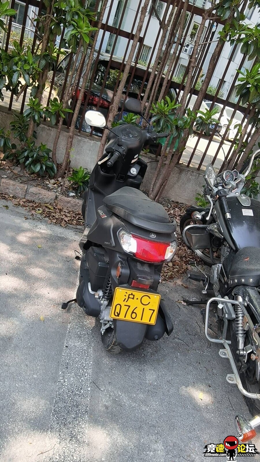 上海滩最高价回收黄A黄C蓝A崇明R，黄A黄C蓝A崇明R活单批发价出售，黄A带车出-竞速车友会 - 591moto