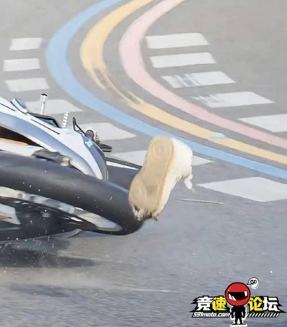 女骑士野的很，大家猜猜后面怎么样了，到50楼公布照片-竞速车友会 - 591moto