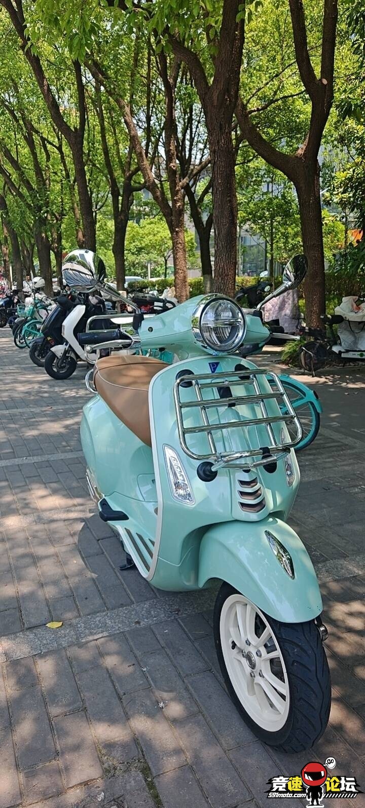 友情提醒，交强险不要逾期。-竞速车友会 - 591moto