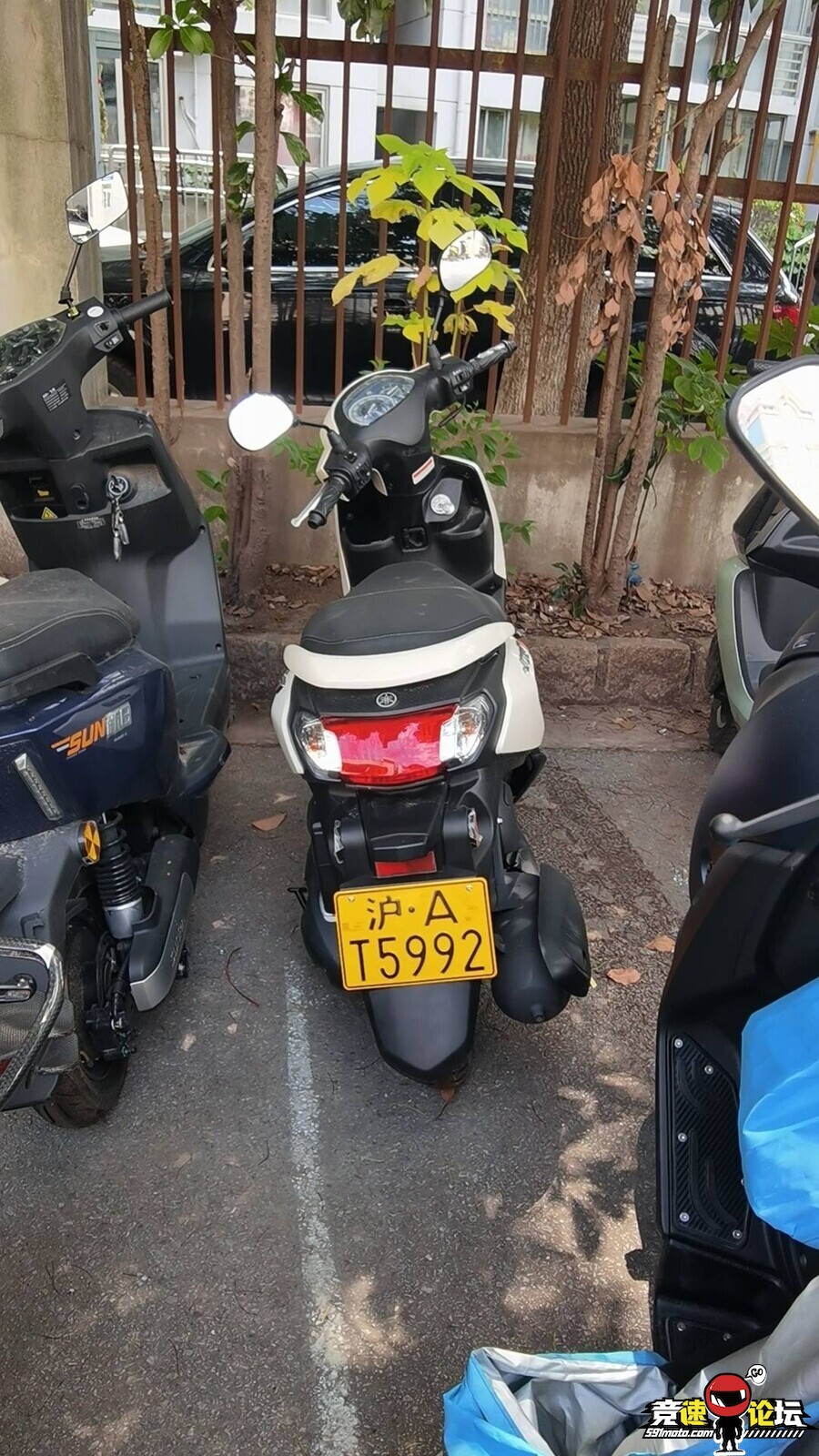 47中收黄A带车，15xx收黄C带车，50C电瓶车蓝A市场价回收，崇明R回收。-竞速车友会 - 591moto